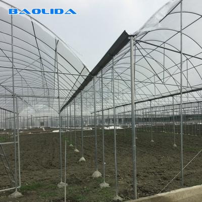 China High Tunnel Agricultural Farming Multi Span Greenhouse For Flowers Growing for sale