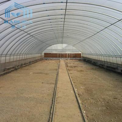 China Polytunnel Cooling System Tunnel Plastic Greenhouse With Circulation Fan for sale
