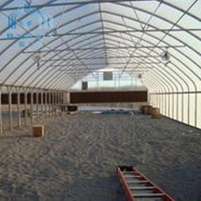 China Polytunnel Cooling System Tunnel Plastic Greenhouse With Circulation Fan for sale