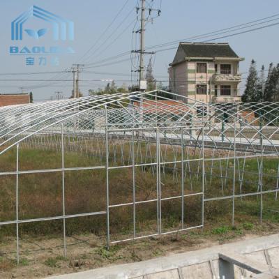 China Polytunnel Cooling System Tunnel Plastic Greenhouse With Circulation Fan for sale