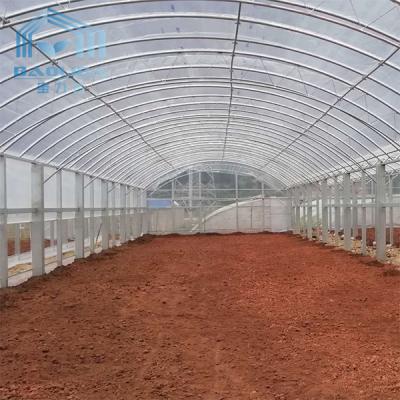 Китай Парник пяди земледелия пластиковый одиночный с поли фильмом железного каркаса тоннеля двойным продается