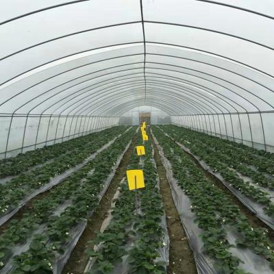 Китай Рамки парника тоннеля полиэтиленовой пленки салат огурца томата пяди низкой одиночный продается