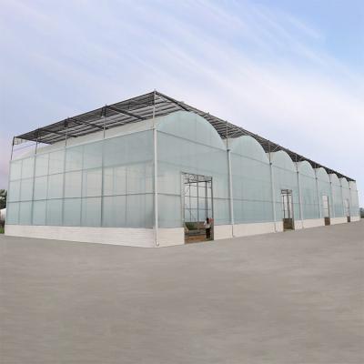 China Agriculture Hydroponic System High Tunnel Greenhouse Uv Film Multi Span for sale