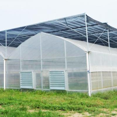 China High Tech 200 Micron Greenhouse Automatic Plastic Film Multi Span Wind Resistant for sale
