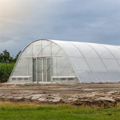 Cina Il pesce del tunnel fruttifica strato del policarbonato del pannello solare della serra dello sfiato del lato dell'essiccatore in vendita