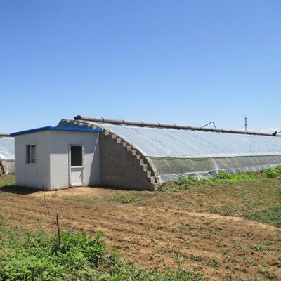 China Tomato Passive Solar Greenhouse With Electric Roll Up Ventilation factory