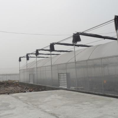 Cina Grande serra del film plastico/serre 20m - 100m di agricoltura lungo in vendita