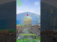 tunnel greenhouse
