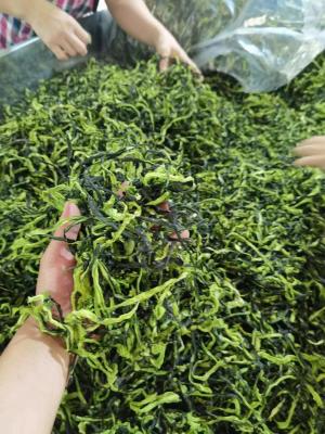 Cina Flakes di cetriolo secco di grado A pronto per il mercato nazionale in vendita