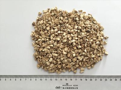 Cina Colore secco 2-6mm di Brown scuro dei granelli della gamba dei funghi di Porcini di dimensione in vendita