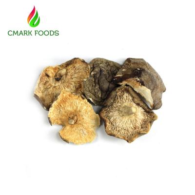 Cina Funghi selvaggi secchi B secchi del grado dei funghi di ostrica dell'alimento gastronomico in vendita