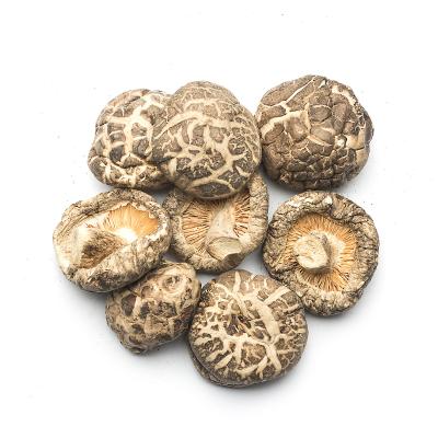 China Versatile Dried Flat Shiitake Mushrooms For Culinary for sale