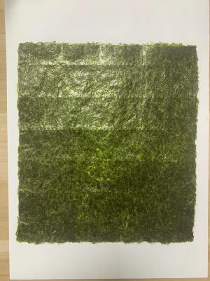 Cina Colore verde scuro 100 fogli di diverso grado Alghe marine asciutte arrostite Sushi Nori in vendita
