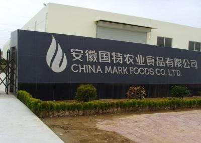Cina i chip del disidratatore dell'alimento di 10×10×3mm/hanno disidratato i fiocchi della carota con approvazione di iso in vendita