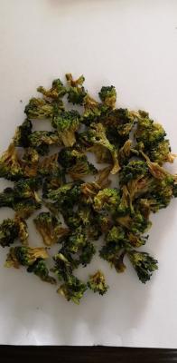 China Dehydrated Broccoli Air Dried Vegetables 10*10mm With HACCP / FDA Certificates for sale