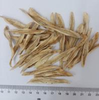 China AD Dried Burdock Strips 3x3x25mm Natural Color Max 8% Moisture for Export for sale