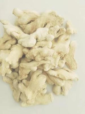 중국 HACCP 할랄은 탈수 Ginger Root 자연색을 증명했습니다 판매용