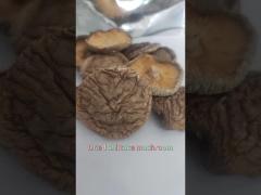 Premium Flat Dried Shiitake Mushrooms Rich In Protein
