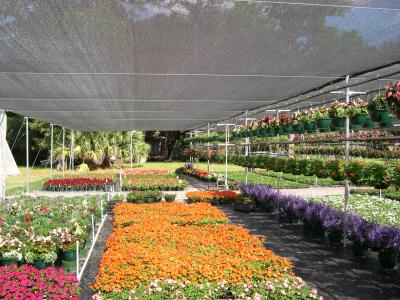 China Custom Greenhouse Shade Cloth Sun Mesh Sunblock for sale