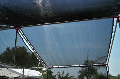 Cina il recinto verde Shade Cloth Roll della segretezza del nero 100gsm riveste Mesh Screen Temporary di pannelli in vendita