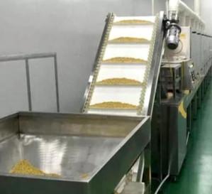 China Microwave Dehydration Equipment for sale