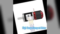 High Torque Brushless DC Planetary Motor for Robotics