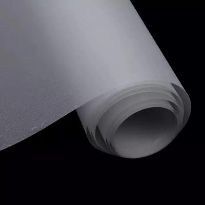 Cina DTF PET Film 30cm Digital Inkjet Cold/Hot Printer Film per il trasferimento di calore Vinyl 11,8 Inch Clothing in vendita