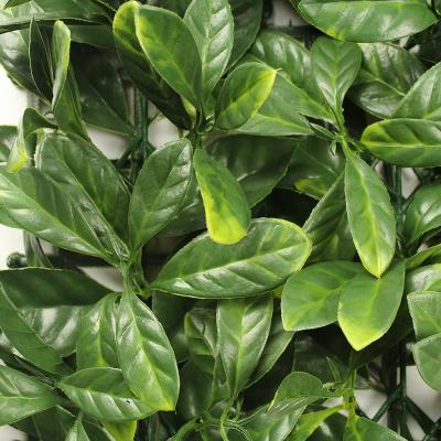 Cina Parete verde artificiale 4.8CM lussuosa dell'interno per il recinto Panel della barriera del giardino in vendita
