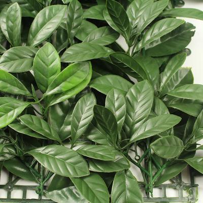 Cina Parete verde artificiale 4.8CM lussuosa dell'interno per il recinto Panel della barriera del giardino in vendita