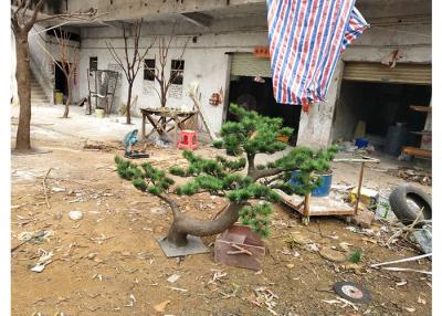 Cina Evergreen Small Fake Pine Trees For Amusement Park in vendita