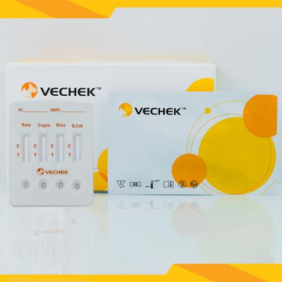 Cina Rotavirus Cryptosporidium Coronavirus E.Coli Antigen Kit veterinari di test rapidi per feci bovine in vendita