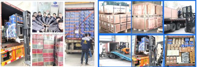 Carman 2841 WG9725190103 WG9725190122 SZ919000895 SZ919000894 1109070-50A 1109060-50A Howo Shaman Heavy-Duty Truck Air Filter