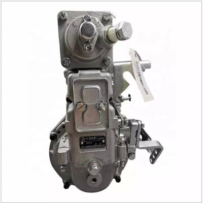 China FEDEX EMS DHL UPS Delivery Way for WD615 Engine Code 612601080532 BHT6P120R Sinotruk Shacman WEICHAI Fuel Injection Pumps for sale