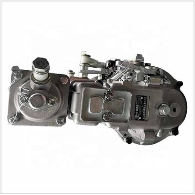 China OE NO. 612601080917 bh6p120 construction machinery fuel injection pump for replace/repair WEI CHAI WD615 WP10 WD10 for sale