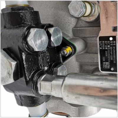 Cina Pompa di iniezione di carburante per WEICHAI WD618.375Q Motor Fuel System Performance Boost in vendita