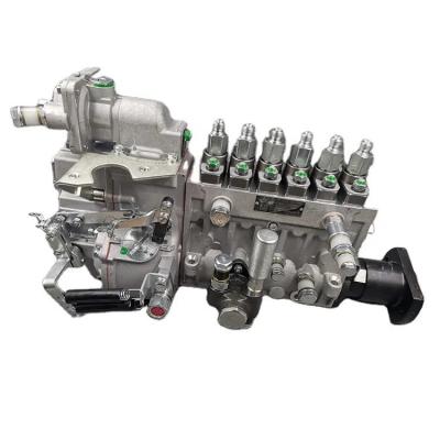 Cina Motore diesel Weichai WD615 ad alte prestazioni per SINOTRUK HOWO Shantui SD16 Bulldozer Fuel Injection Pump in vendita