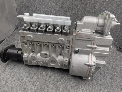 Cina Motore diesel Weichai WD615 ad alte prestazioni per SINOTRUK HOWO Shantui SD16 Bulldozer Fuel Injection Pump in vendita