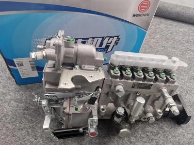 Cina Motore diesel Weichai WD615 ad alte prestazioni per SINOTRUK HOWO Shantui SD16 Bulldozer Fuel Injection Pump in vendita