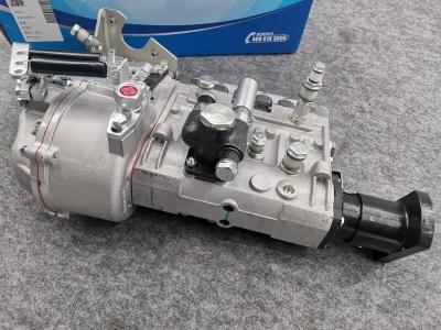Cina Motore diesel Weichai WD615 ad alte prestazioni per SINOTRUK HOWO Shantui SD16 Bulldozer Fuel Injection Pump in vendita
