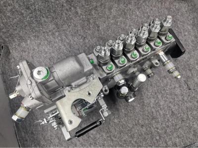 Cina Motore diesel Weichai WD615 ad alte prestazioni per SINOTRUK HOWO Shantui SD16 Bulldozer Fuel Injection Pump in vendita
