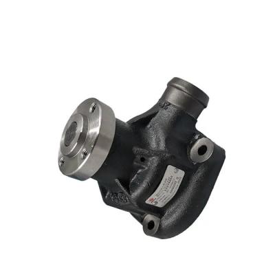 Cina 226B-12273212 WEICHAI DEUTZ Motore diesel WP4 WP6 WP8 WP10 226B Pompa d'acqua per il vostro OE NO. 226B-12273212 in vendita