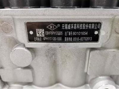 Cina 1980-2001 Anno ISUZU Car Fitment 6PH117 Pompa di iniezione del carburante del motore diesel per Cummins DCEC DONGFENG 6L QSC8.3 Longgong Loader in vendita
