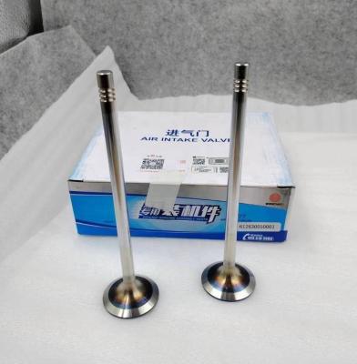 Cina OEM Shacman Valve di aspirazione per Sinotruk LGMG Weichai WP12 WP13 Motore diesel 612630050001 612630050146 4110001050033 in vendita