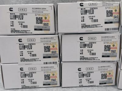 Cina Steel Cummins 6BT 5.9 Parti di motori per autocarri 3357480 3978822 3978818 3978820 4955352 Cuscinetto del ciglio Cuscinetto principale in vendita