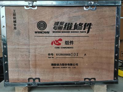 Cina Weichai Engine Original Four Matching Piston Kit Made of Metal for Foton Howo Heavy Truck Steyr Construction Machinery E'stato creato da un team di esperti di tecnologia in vendita