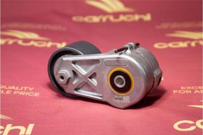 Cina 612600062371 612600061754 612600061279 1000380692 per motore Shacman Weichai WP12 WP3N WP10 WD10 WD618  Ricambi TENSIONATORE in vendita