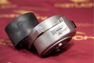 Cina 612600061755 612600061290 4110000001352 shacman weichai WP10 wp 12 motore lgmg mt86 motore TENSIONER in vendita