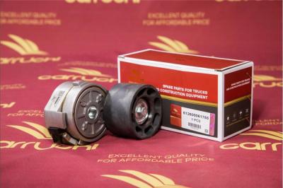 China 612600061755 612600061290 4110000001352 shacman weichai WP10 wp 12 engine lgmg mt86 Engine TENSIONER for sale