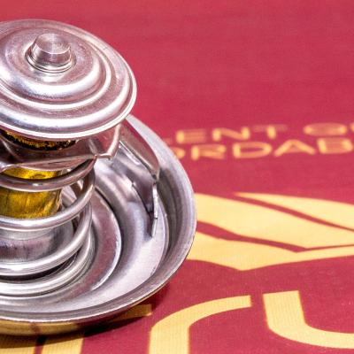 Cina 13030110-81DF per la fabbricazione di pezzi di ricambio termostato in vendita
