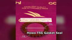 Howo T5G Final Drive Gasket Quality